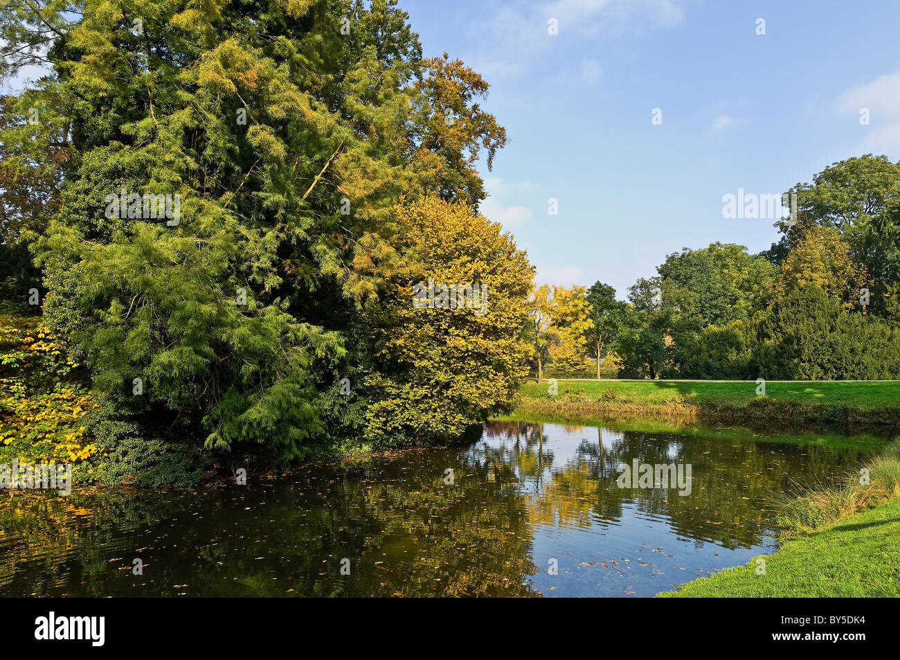 Herbst baum laub wiese sonne hi-res stock photography and images - Alamy