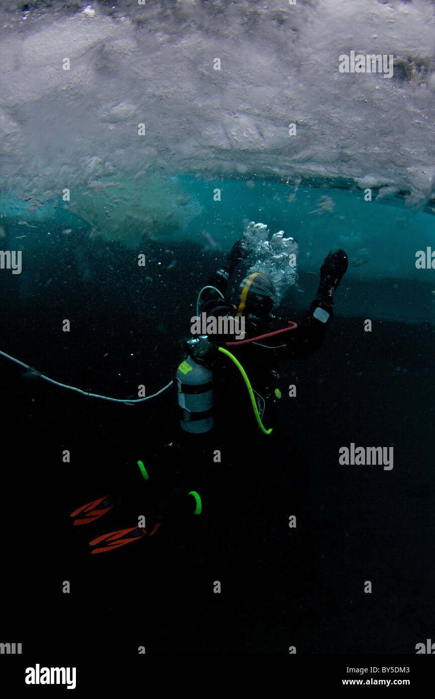 Canadian Arctic diving on the floe edge Pond Inlet, Baffin Island ...