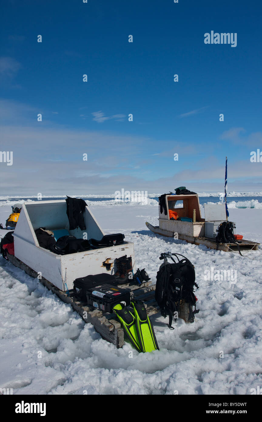 Canadian Arctic diving on the floe edge Pond Inlet, Baffin Island ...