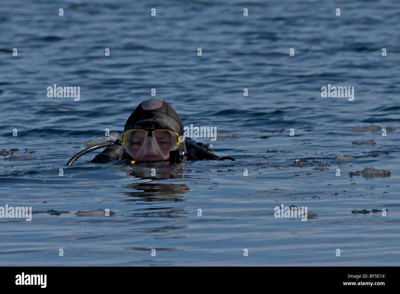 Canadian Arctic diving on the floe edge Pond Inlet, Baffin Island ...