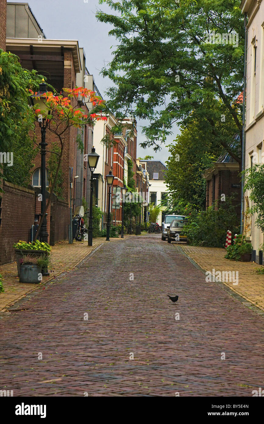 Utrecht, Netherlands city street with the Dom Tower in the background ...