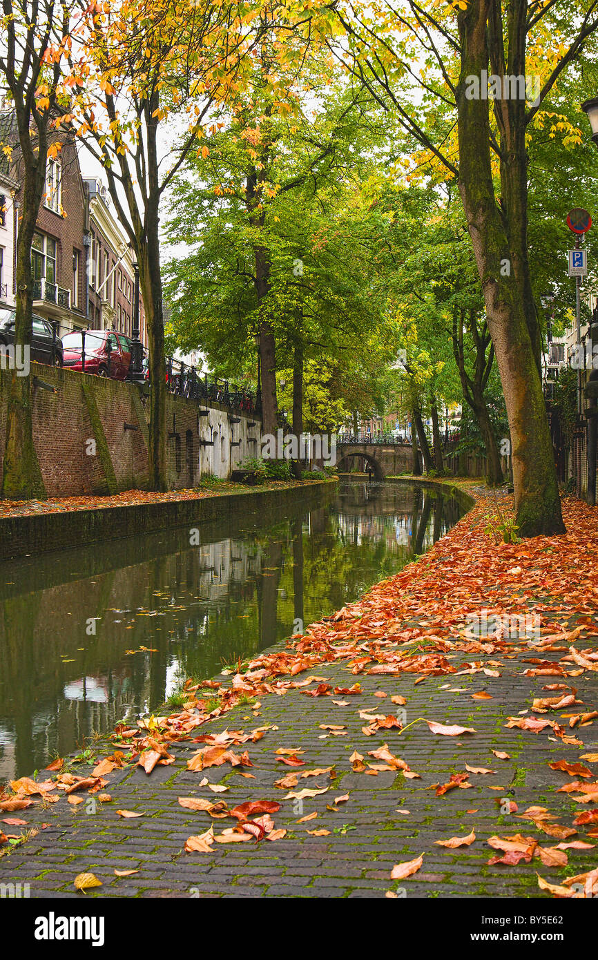 Dutch canal in the fall - Utrecht, Netherlands (Holland Stock Photo - Alamy