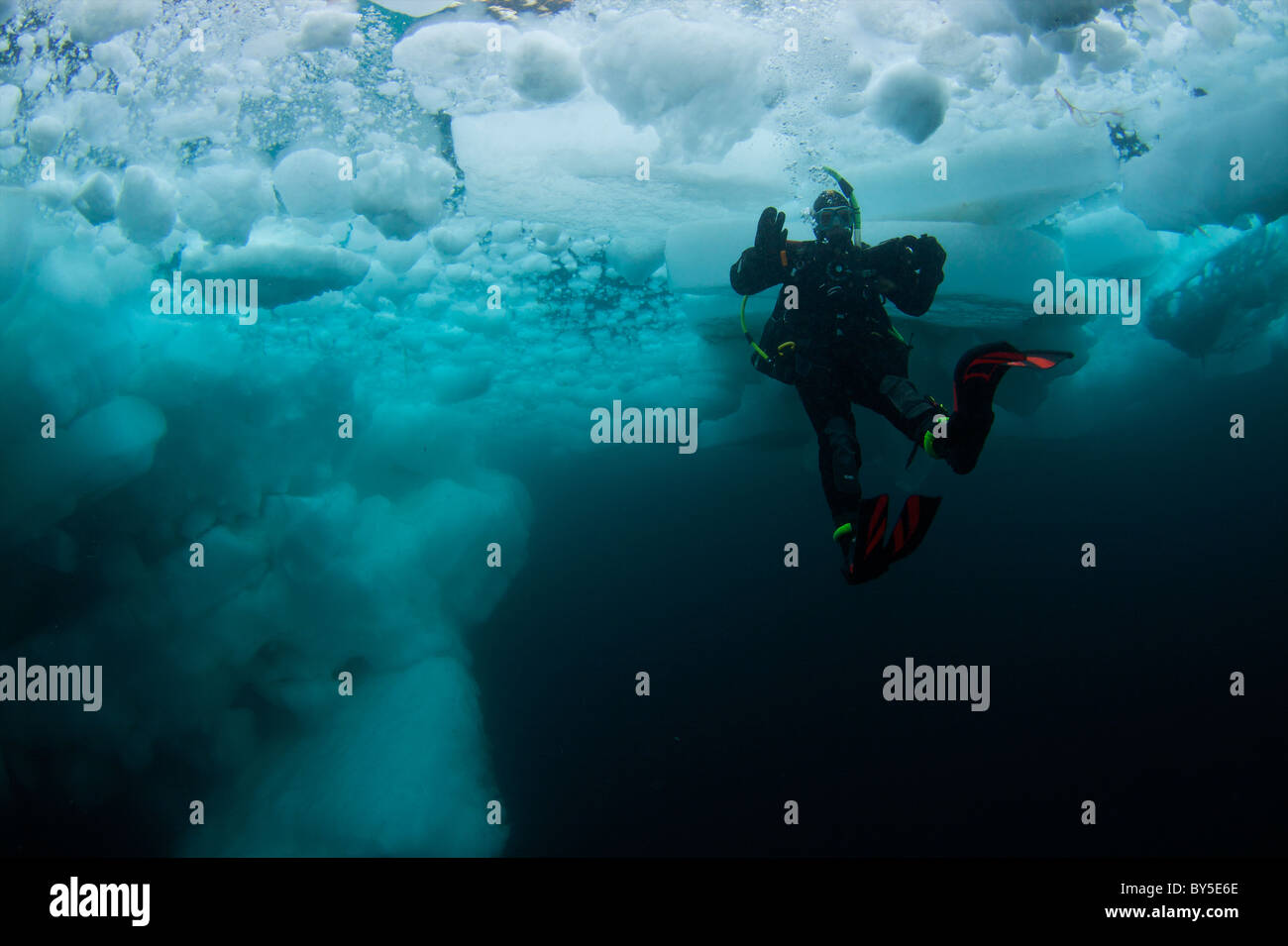 Canadian Arctic diving on the floe edge Pond Inlet, Baffin Island ...