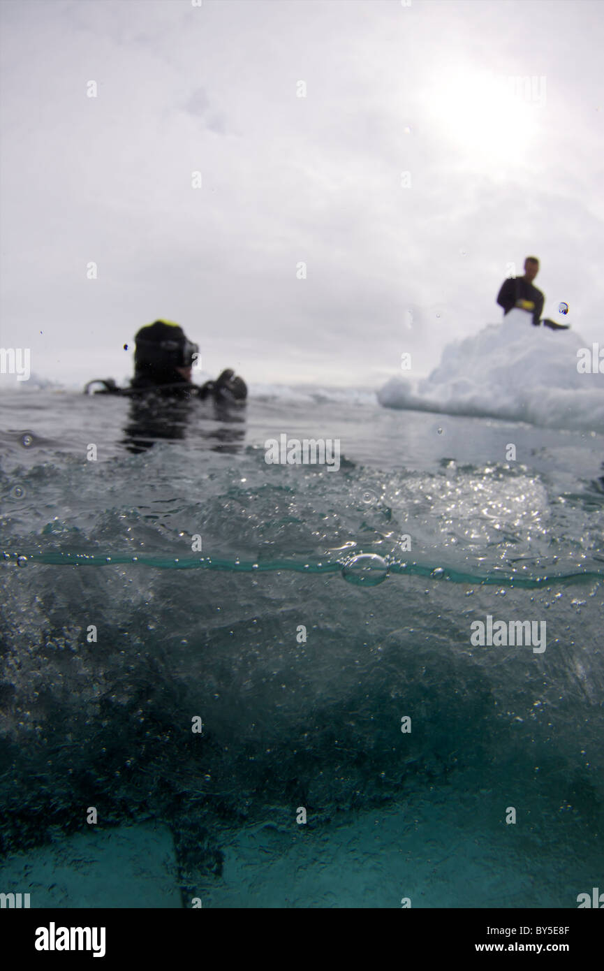 Canadian Arctic diving on the floe edge Pond Inlet, Baffin Island ...
