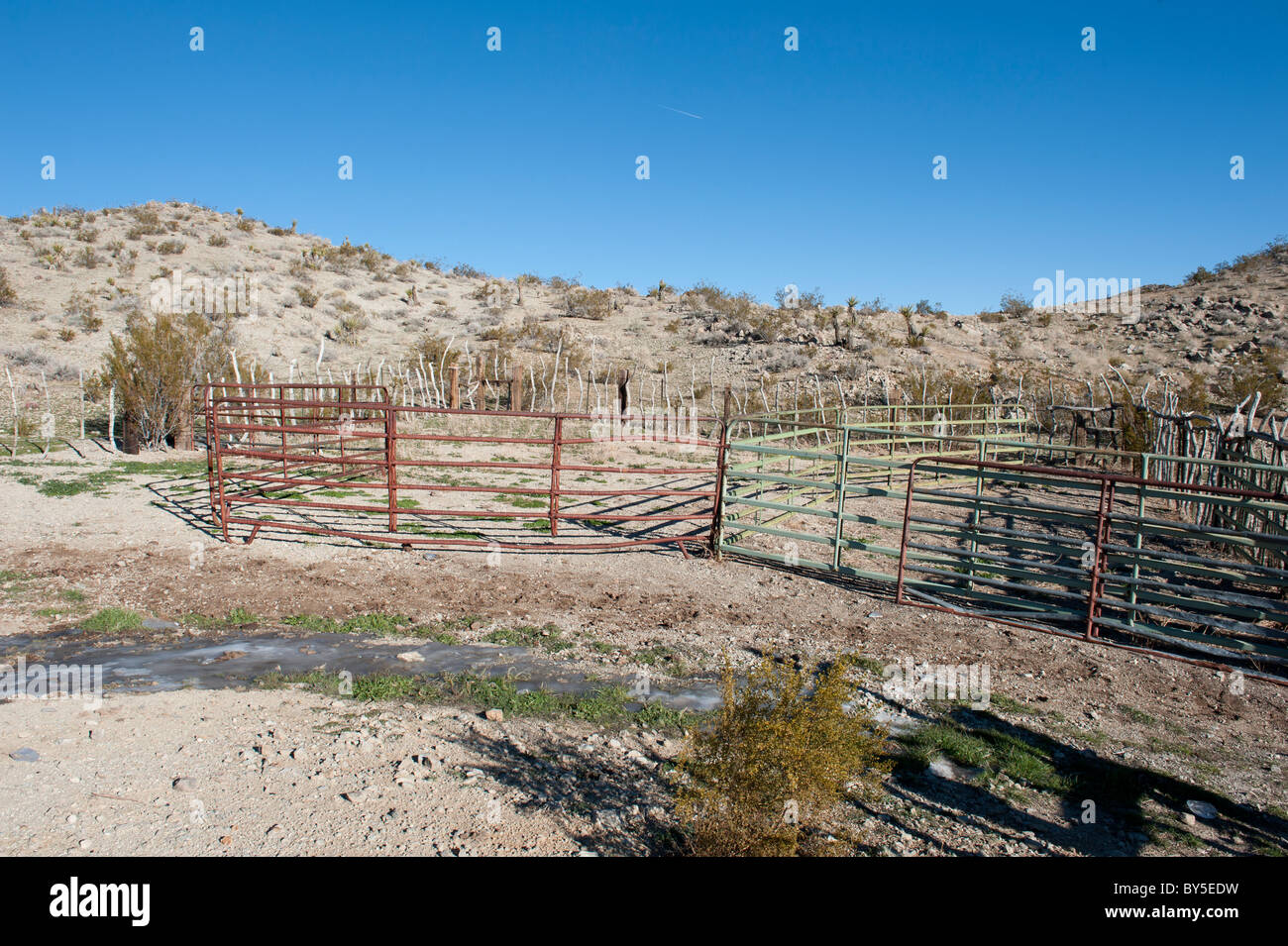 Chukar hunting area in the Western Mojave Desert near Barstow, CA Stock ...
