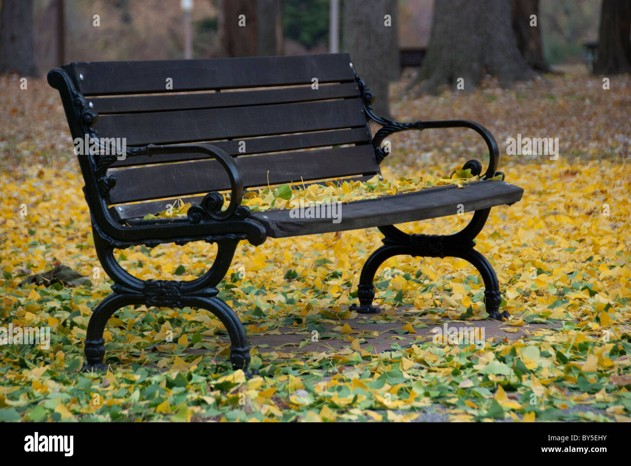 Emptiness end hi-res stock photography and images - Alamy