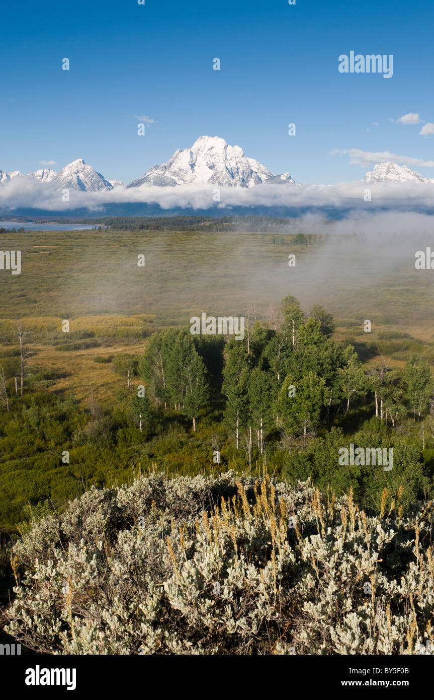 Early morning view of snow-capped Mt. Moran Stock Photo - Alamy