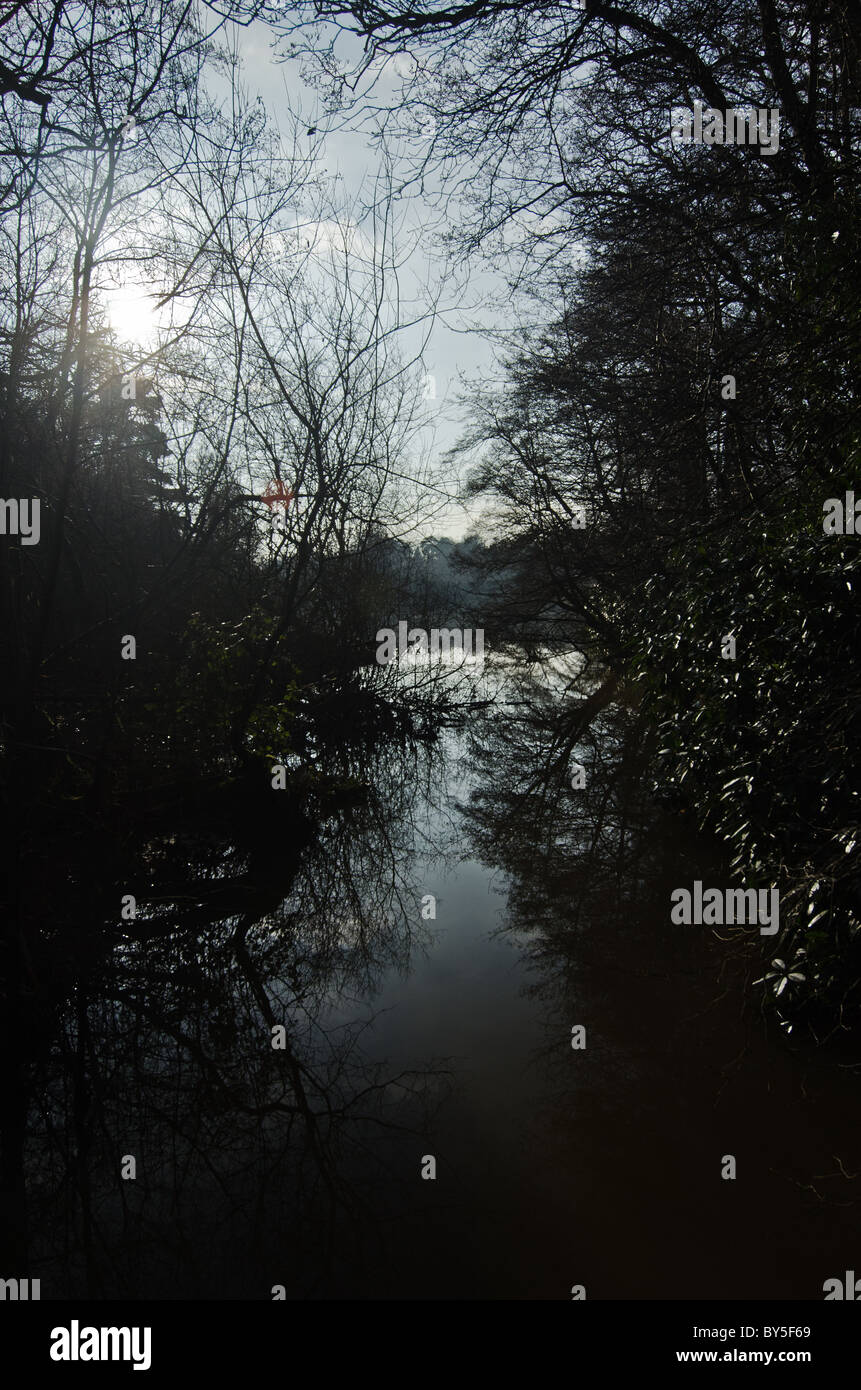 Tree lined river hi-res stock photography and images - Alamy