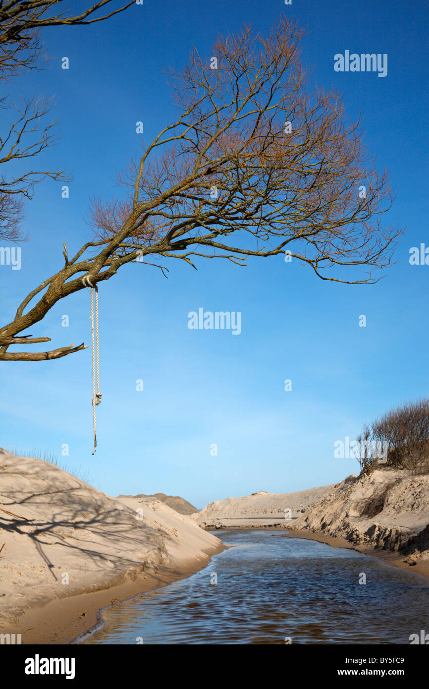Tree with branches and a hanging rope over the sandy banks of a stream on the northern coast of ...