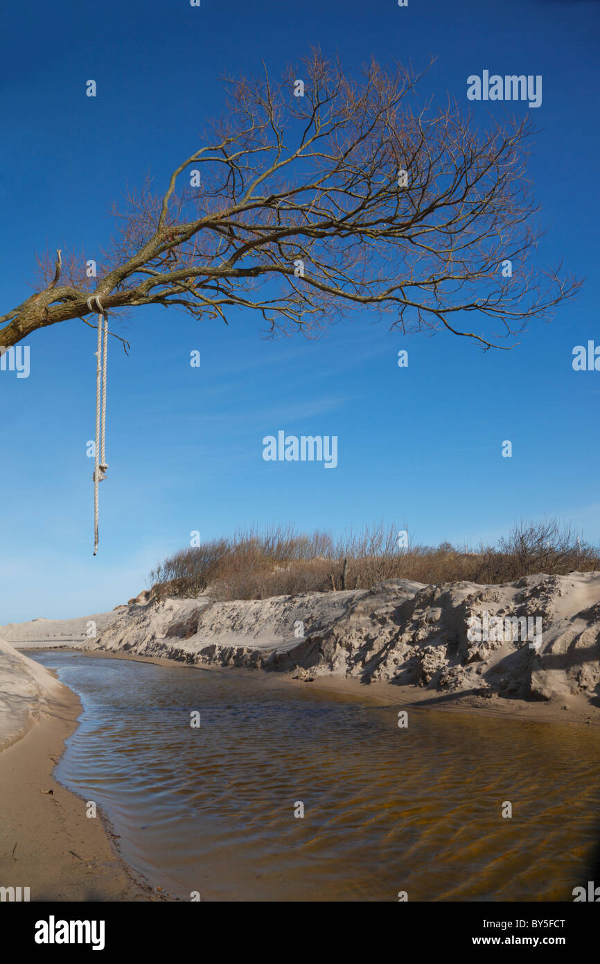 Tree branches hanging over water hi-res stock photography and images ...