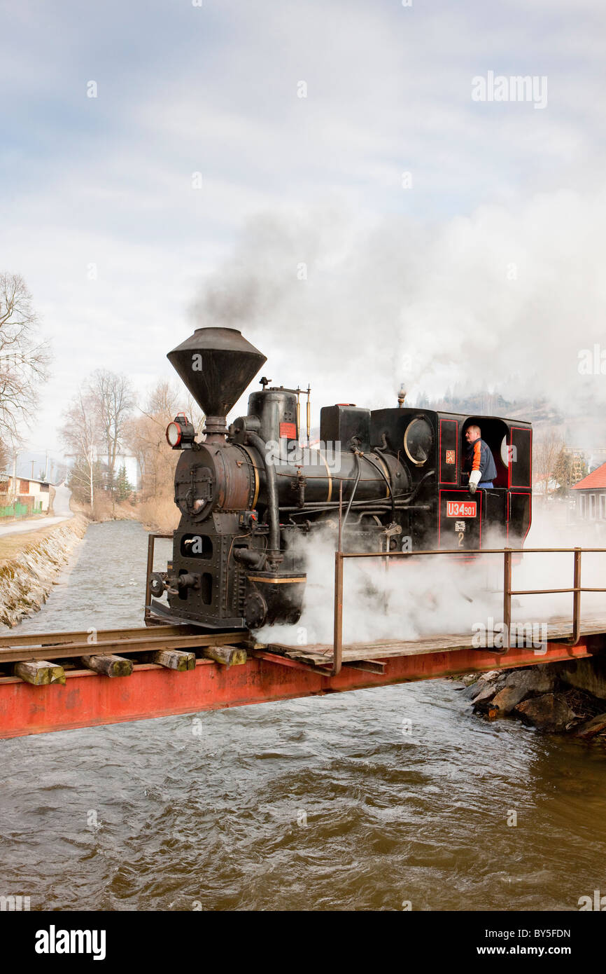 steam locomotive, Ciernohronska Railway, Slovakia Stock Photo - Alamy