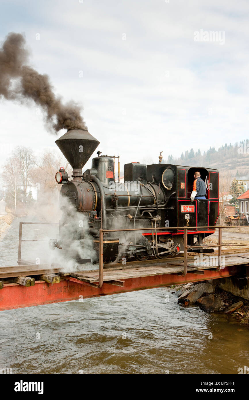steam locomotive, Ciernohronska Railway, Slovakia Stock Photo - Alamy
