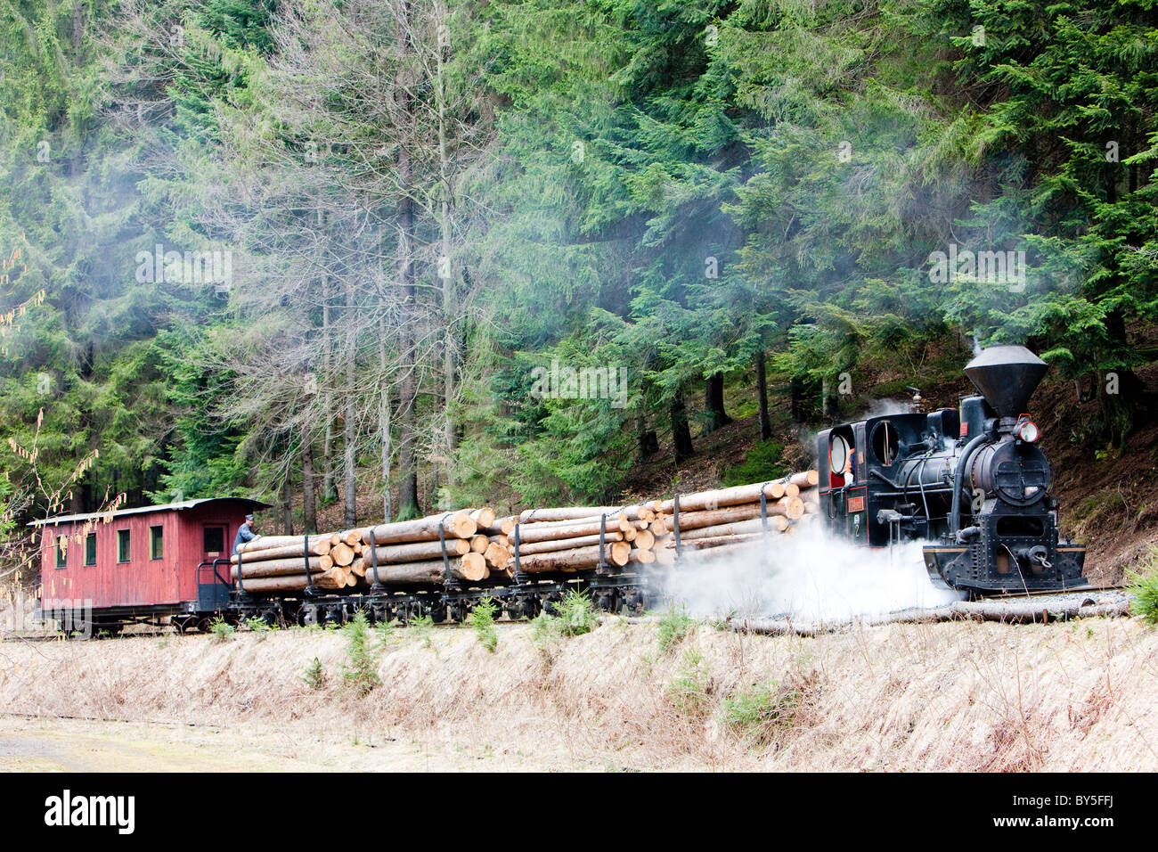 steam train, Ciernohronska Railway, Slovakia Stock Photo - Alamy