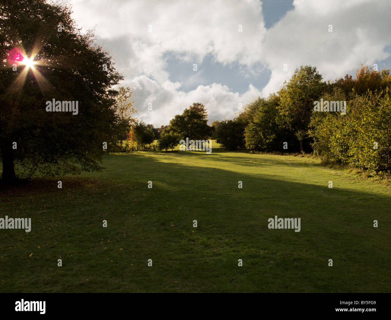 Danbury country park hi-res stock photography and images - Alamy