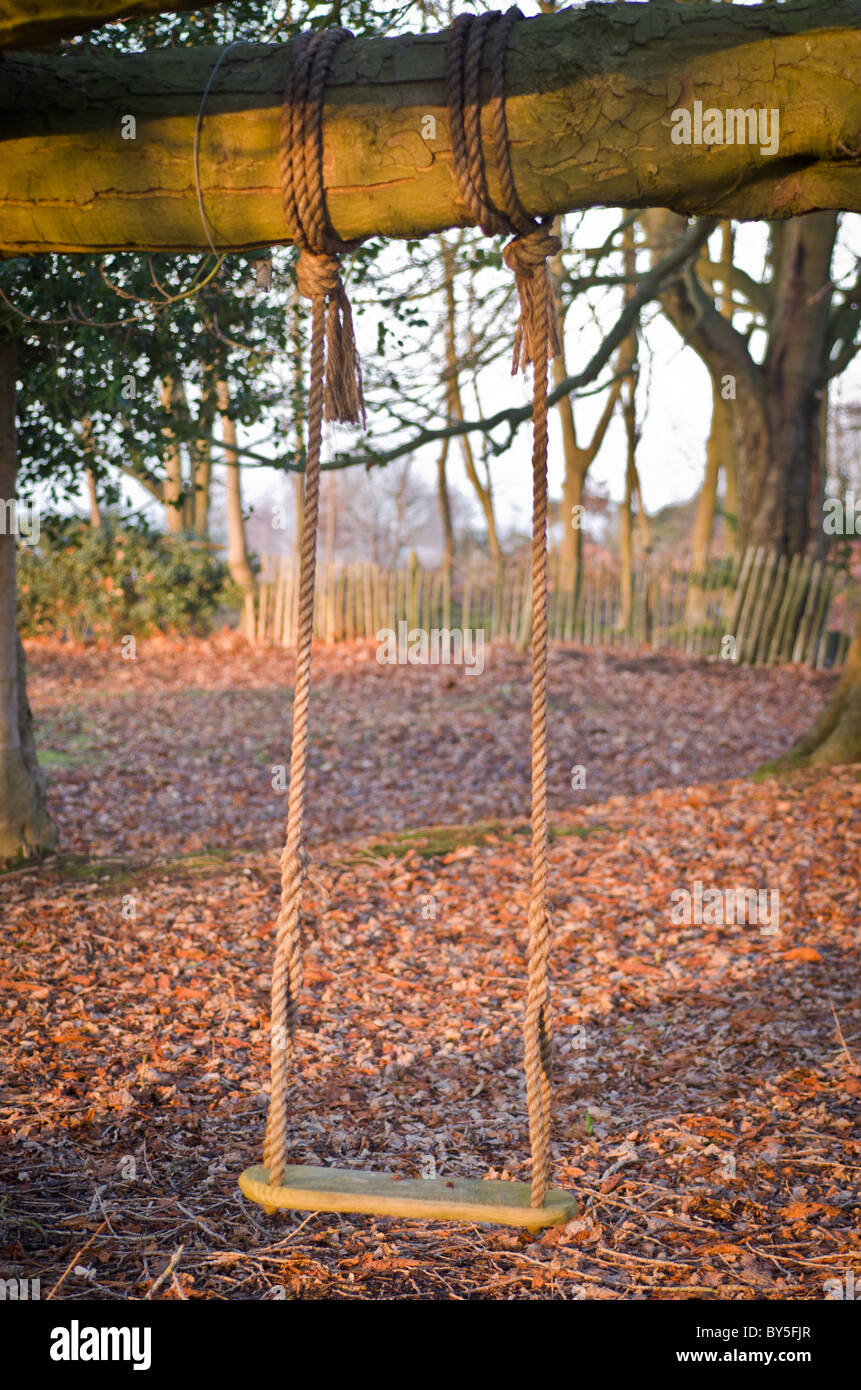 An empty swing in the countryside in autumn Stock Photo - Alamy