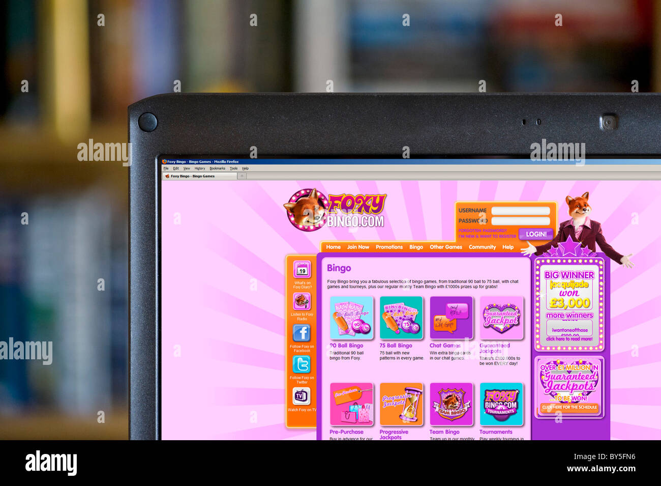 Foxy bingo hi-res stock photography and images - Alamy