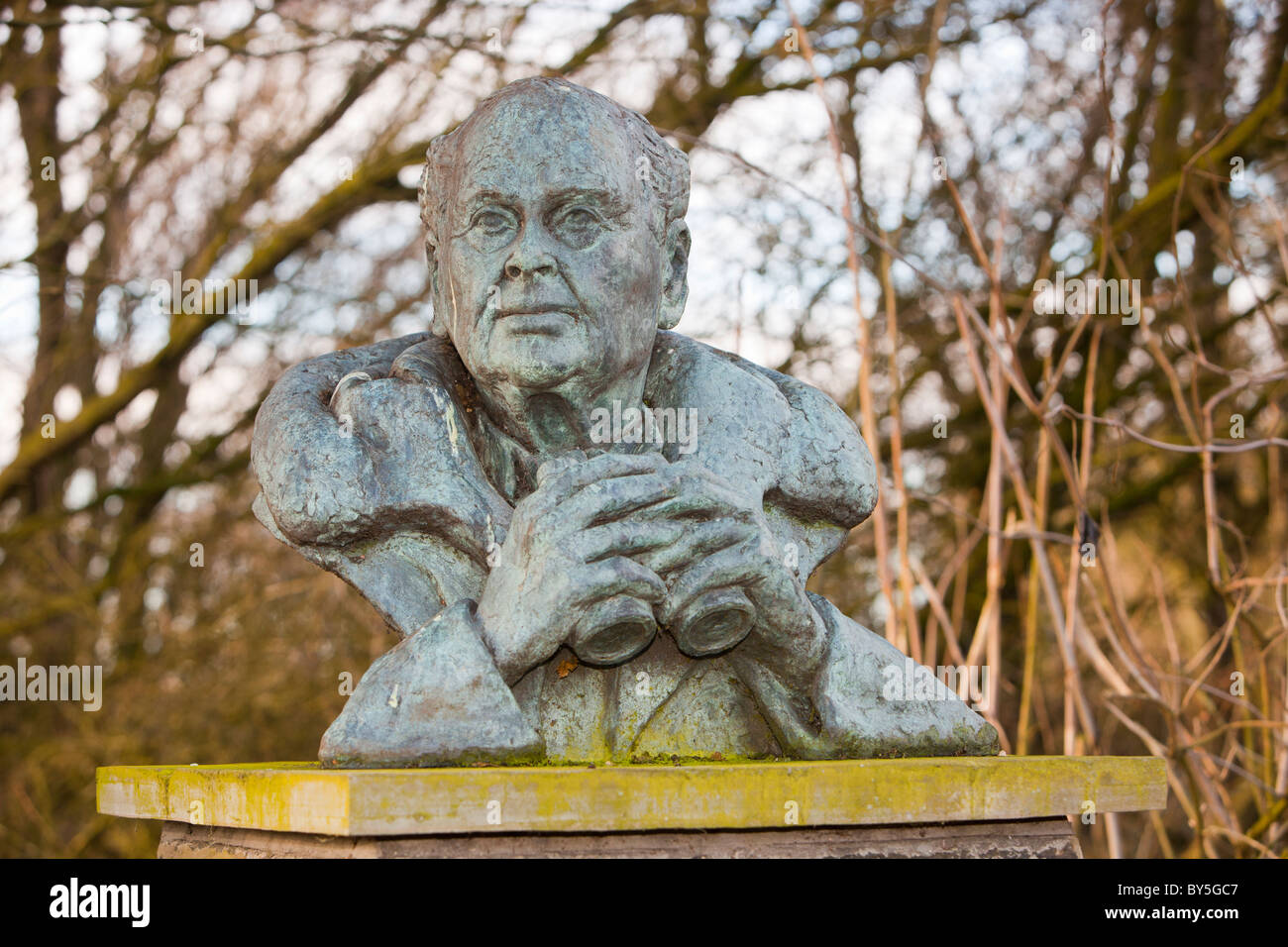 A bust of Sir Peter Scott, founder of the Wildfowl and Wetlands Trust ...