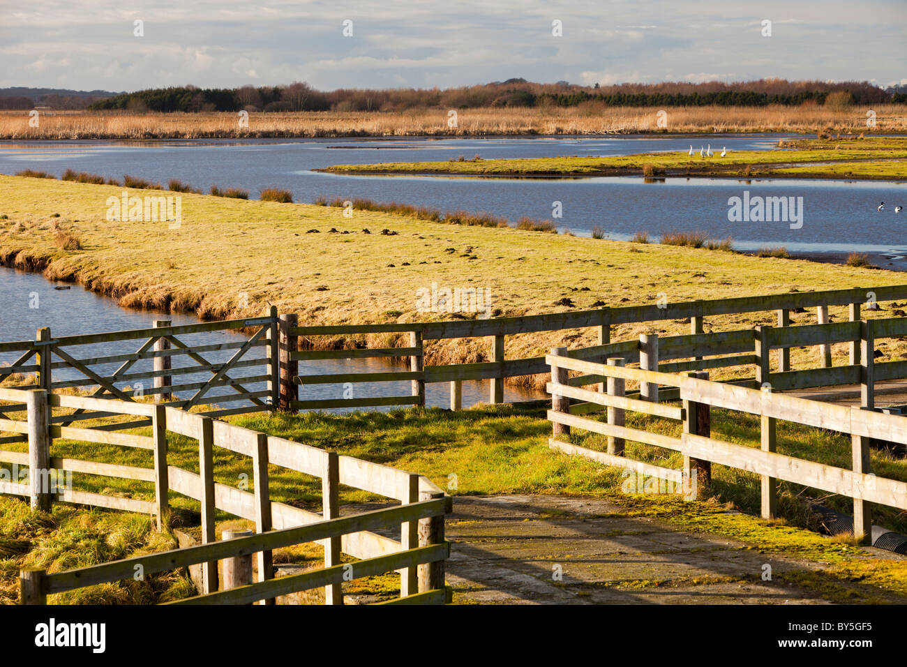Martin Mere bird reserve near Ormskirk, Lancashire, UK Stock Photo - Alamy