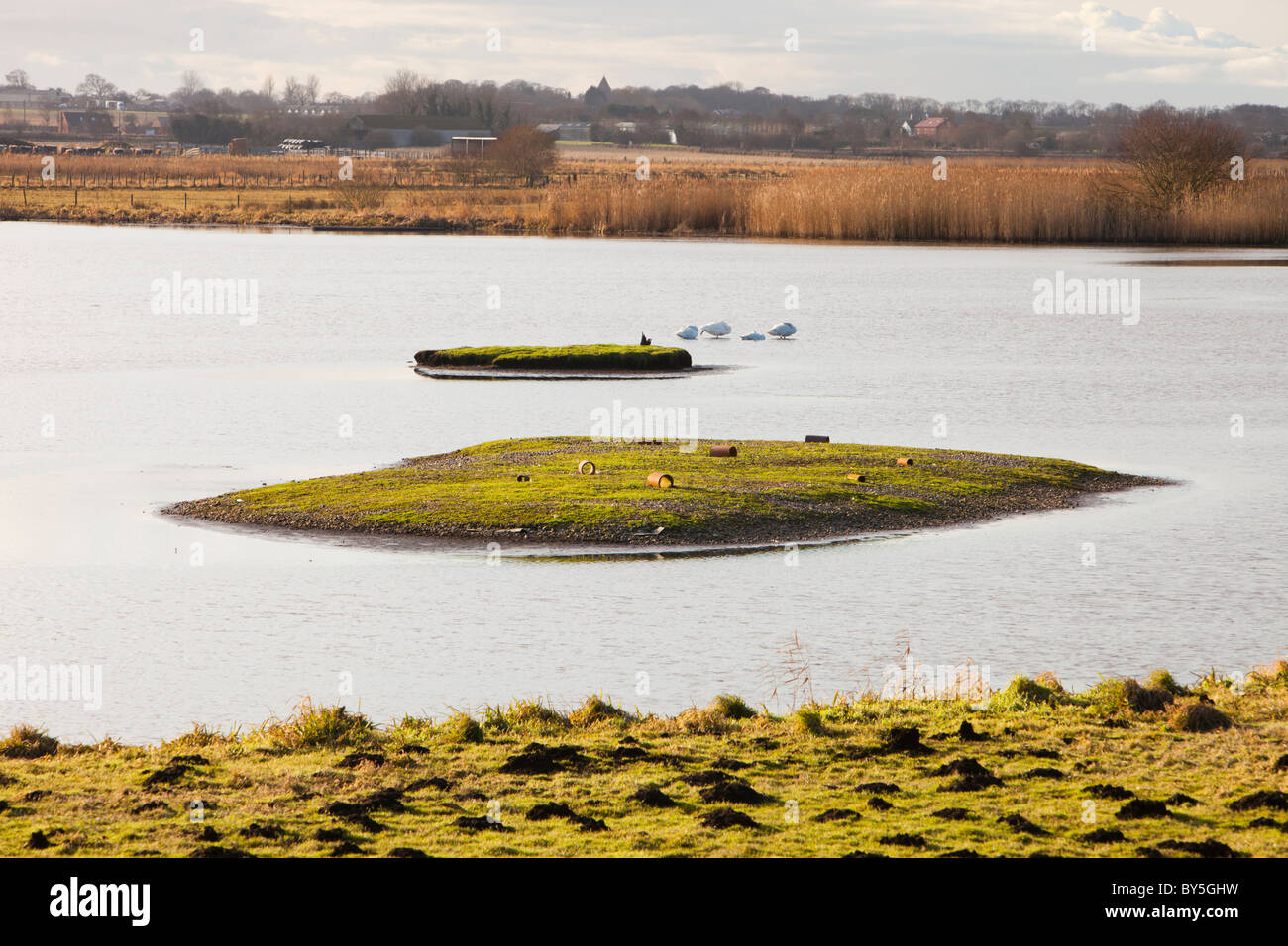 Martin Mere bird reserve near Ormskirk, Lancashire, UK Stock Photo - Alamy