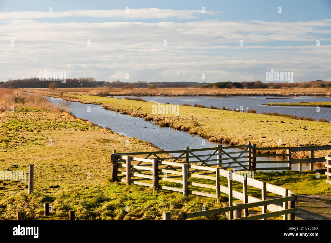 Martin Mere bird reserve near Ormskirk, Lancashire, UK Stock Photo - Alamy