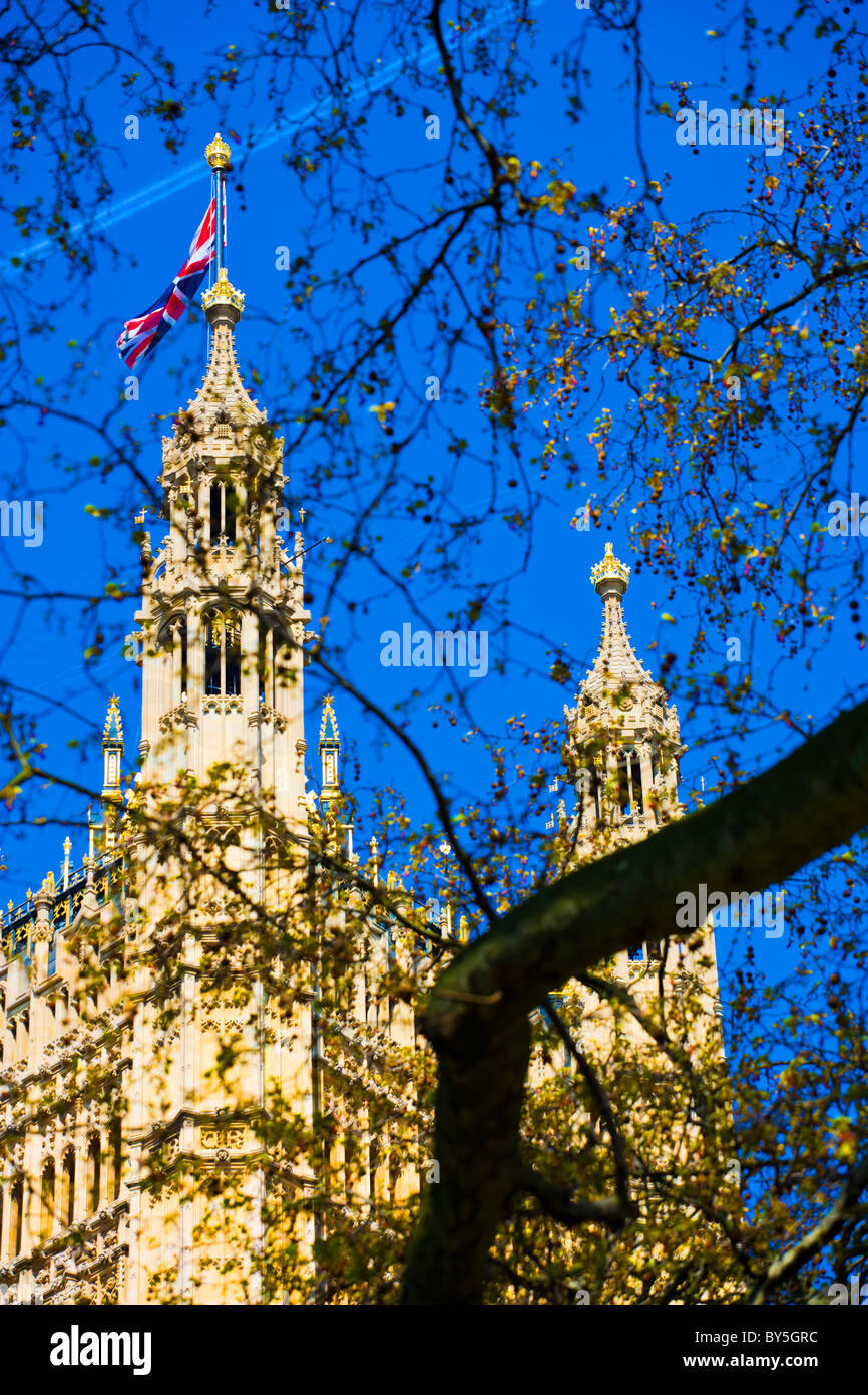 The parliament of trees hi-res stock photography and images - Alamy