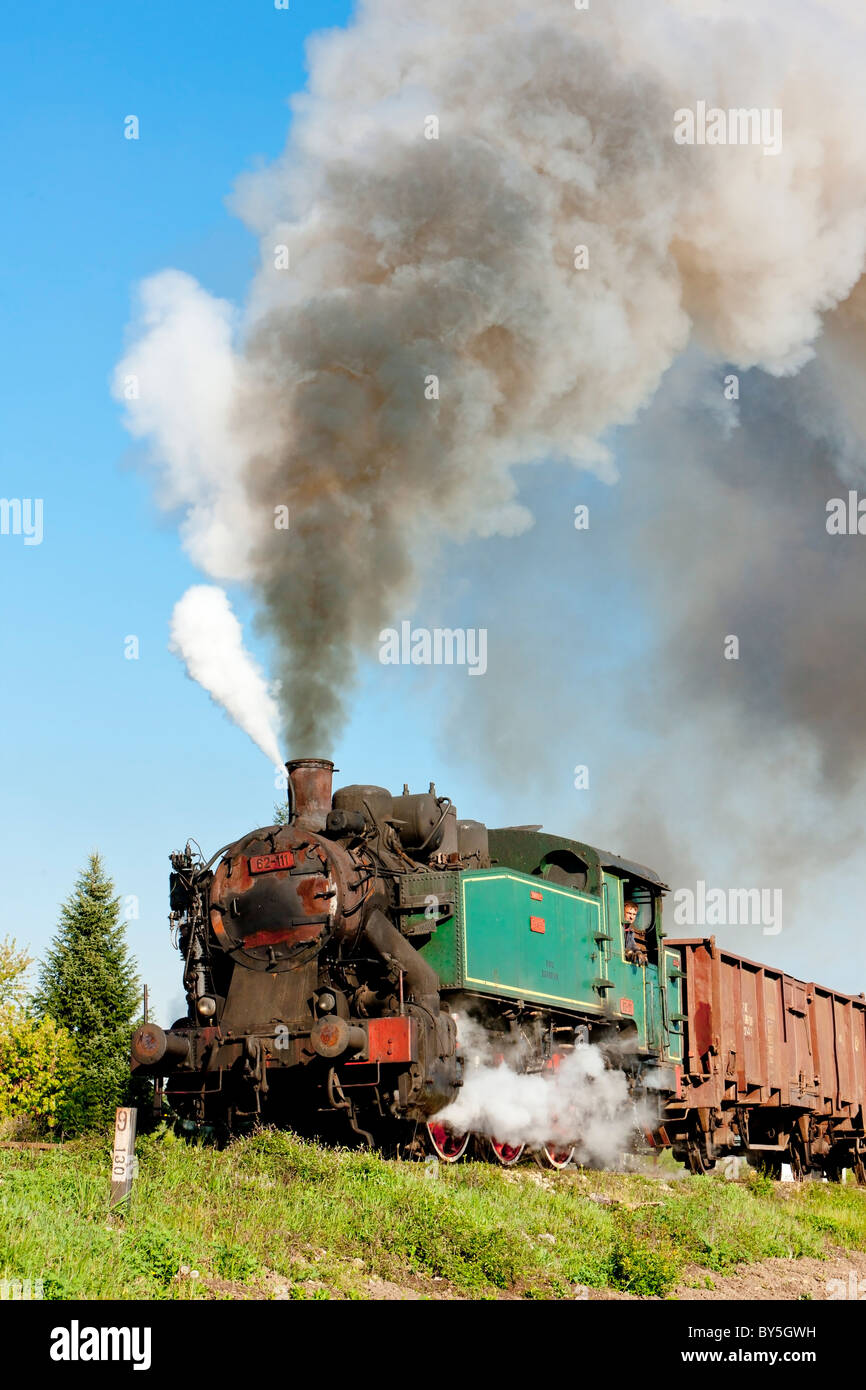 steam freight train, Durdevik, Bosnia and Hercegovina Stock Photo - Alamy