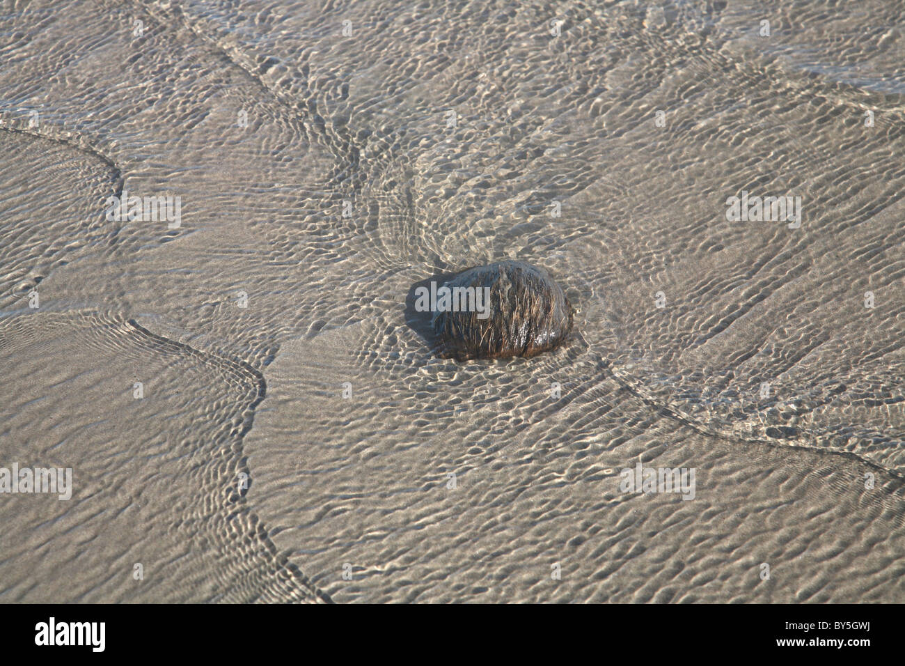 Tide moving over a rock Stock Photo - Alamy