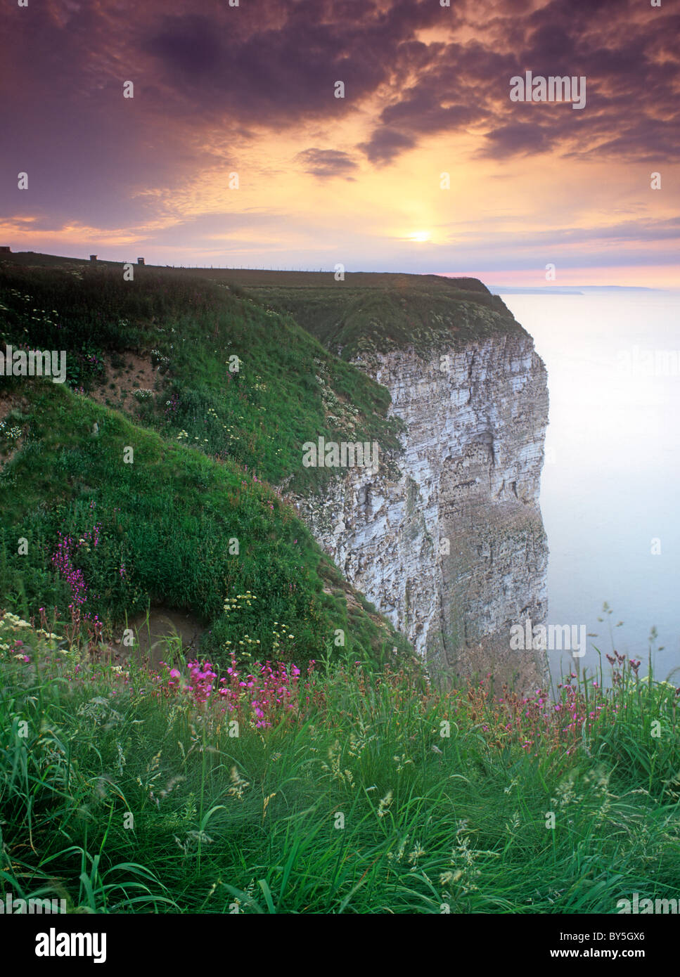 Bempton Cliffs (RSPB reserve), Flamborough, East Yorkshire, UK Stock ...