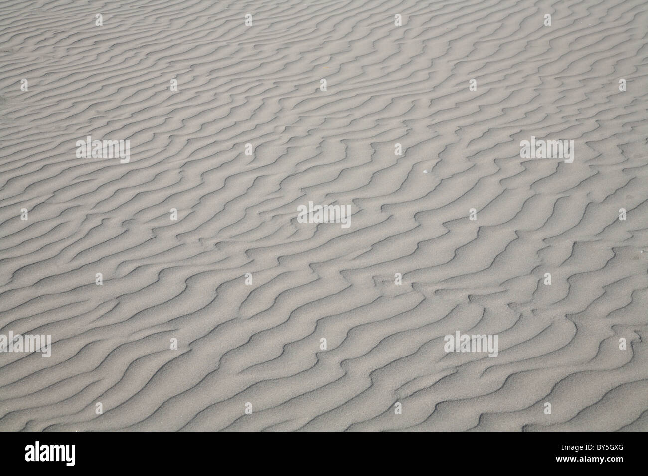 Sand that has ridges on it Stock Photo - Alamy