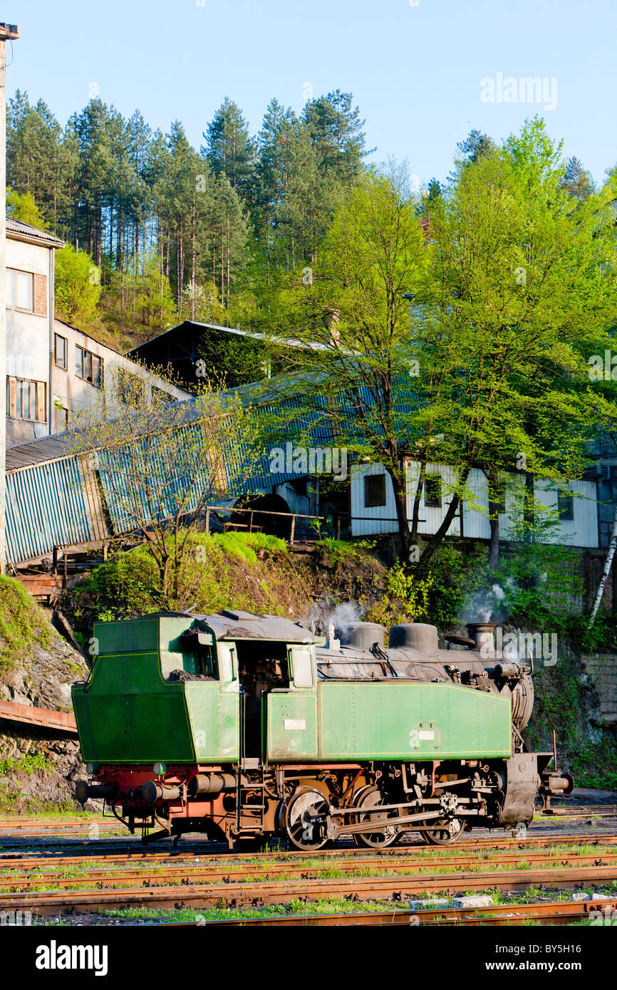 steam locomotive, delivery point in Oskova, Bosnia and Hercegovina ...