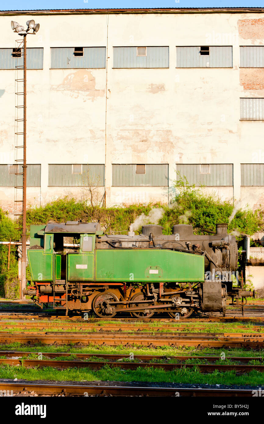 steam locomotive, delivery point in Oskova, Bosnia and Hercegovina ...
