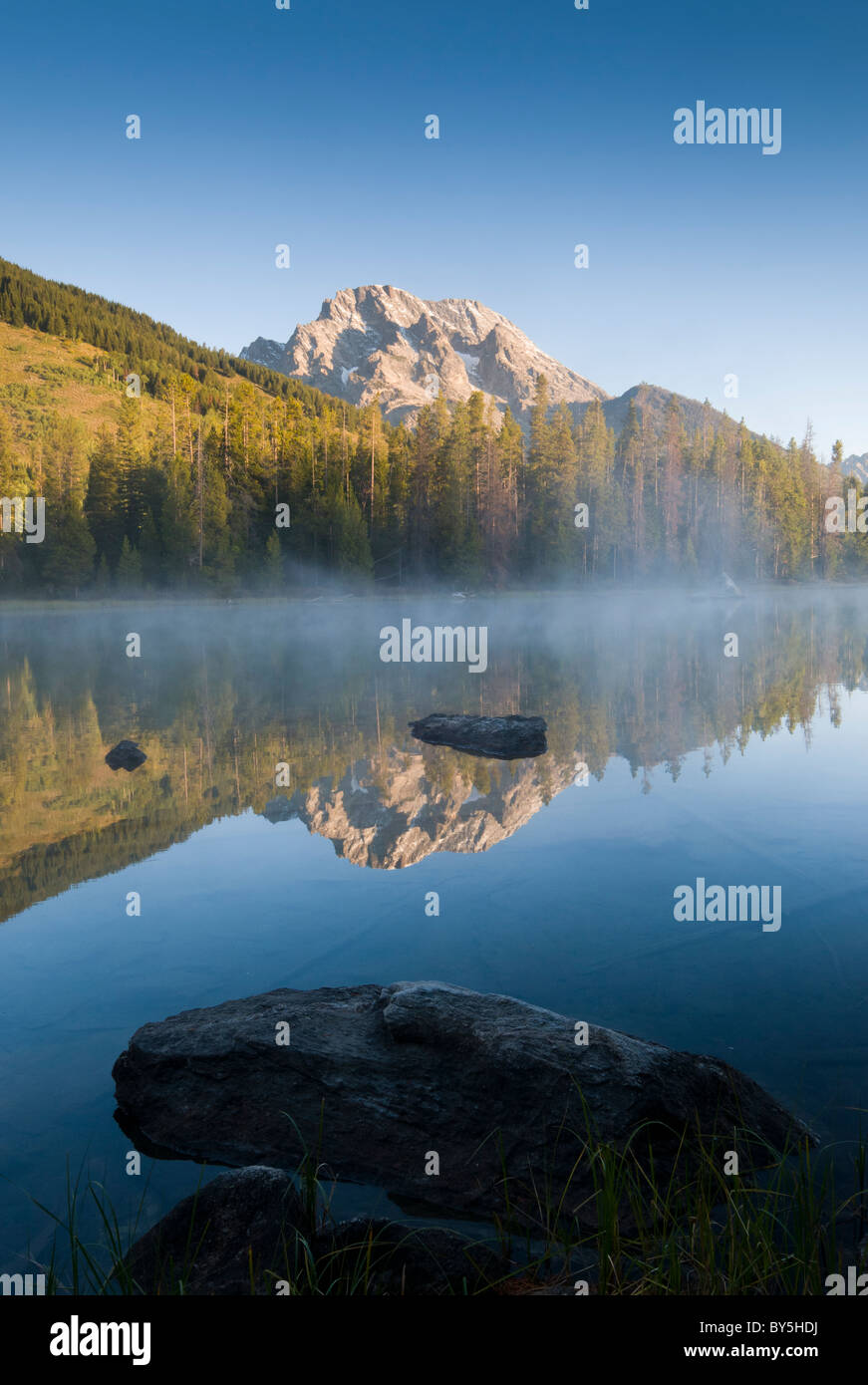 Mt Moran reflects on String Lake at sunrise Stock Photo - Alamy