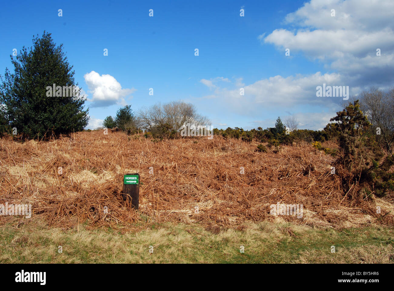Ashdown forest sign hi-res stock photography and images - Alamy