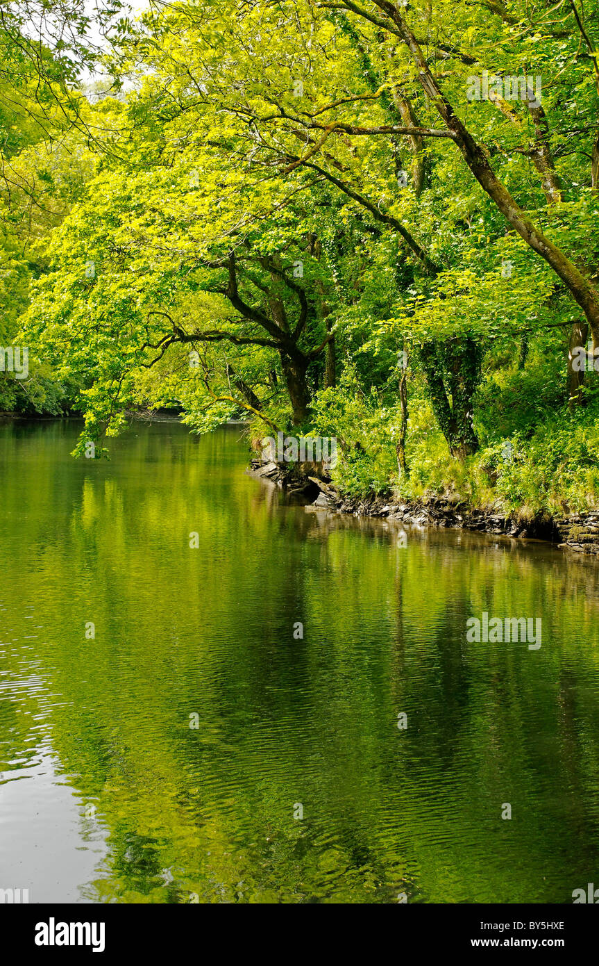 The River Teifi, Cardigan Stock Photo - Alamy