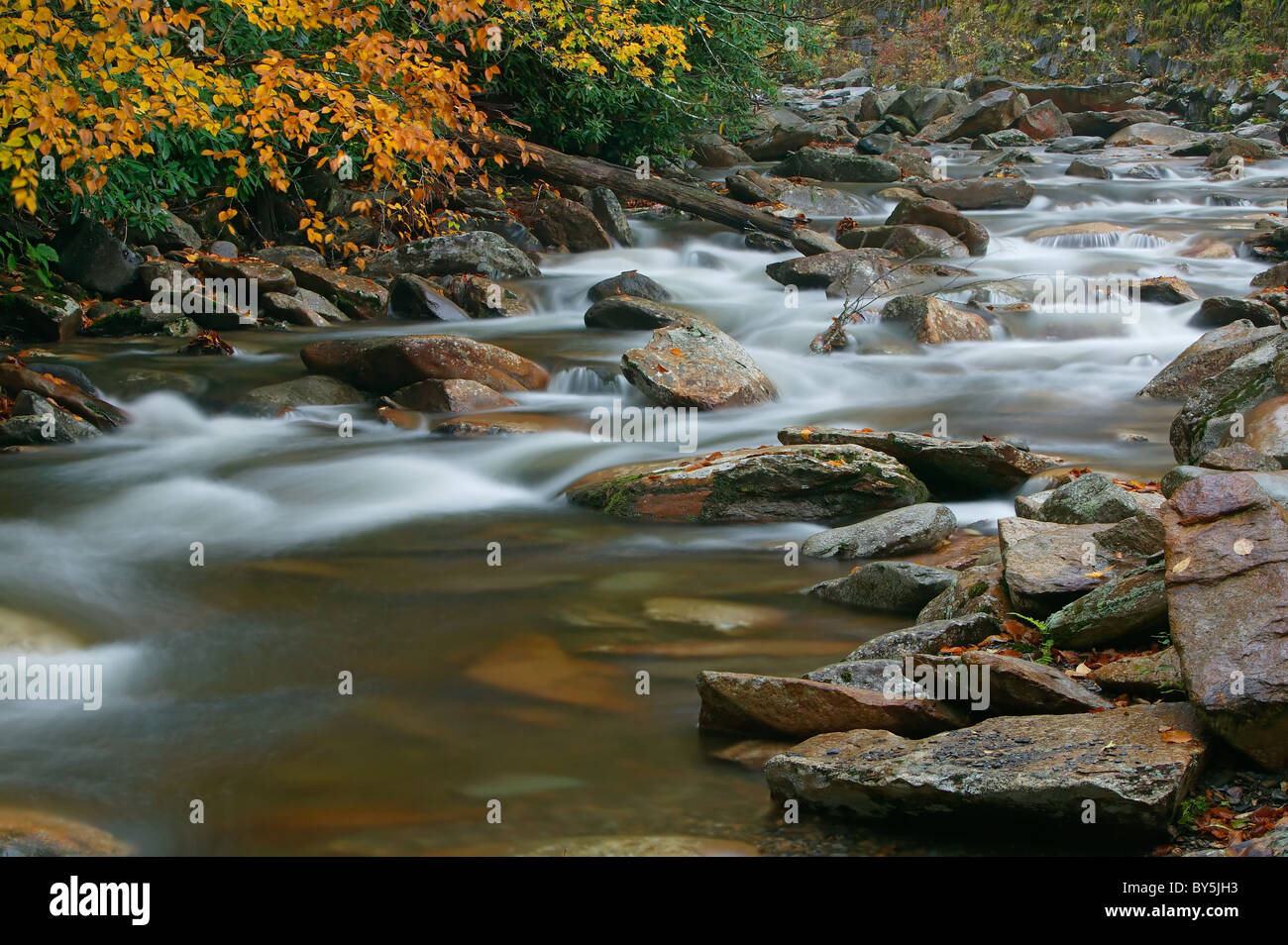 Fall river scene on the West Prong Little River in Great Smoky ...