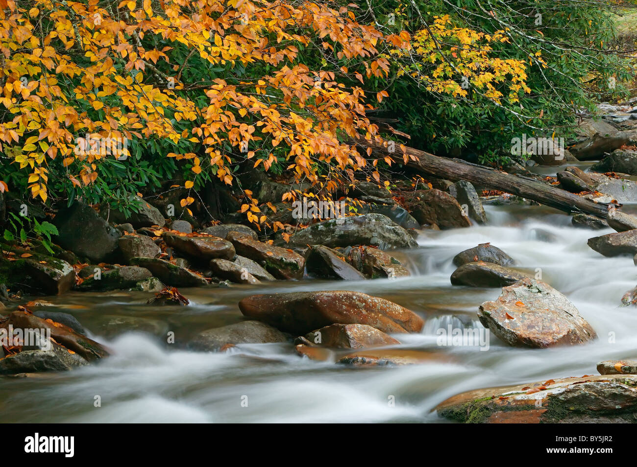 Autumn river in the smokies hi-res stock photography and images - Alamy
