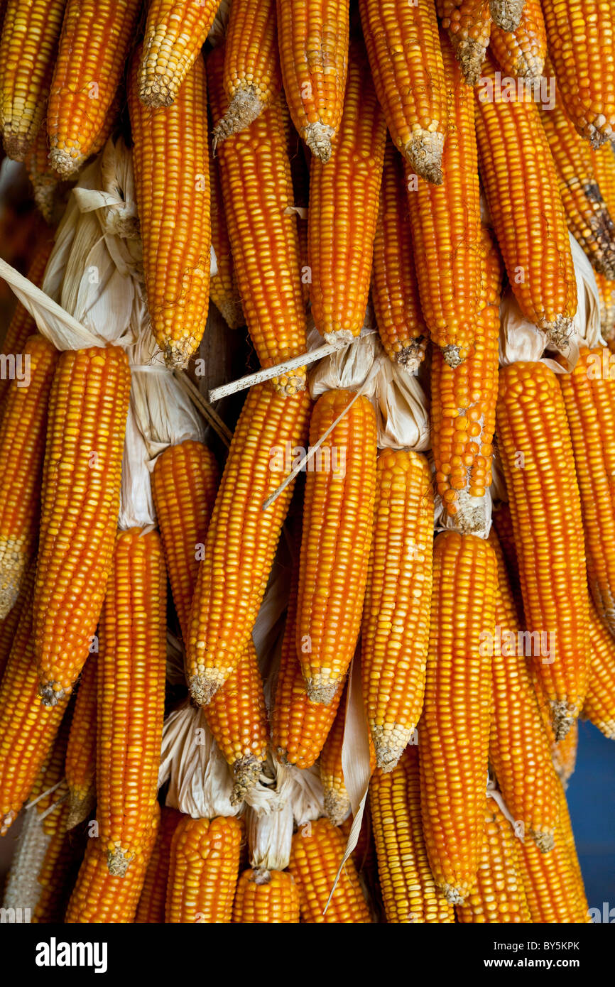 Dried sweetcorn, Jinuo Luoke (Jinuo Shan), Jinghong, Xishuangbanna ...