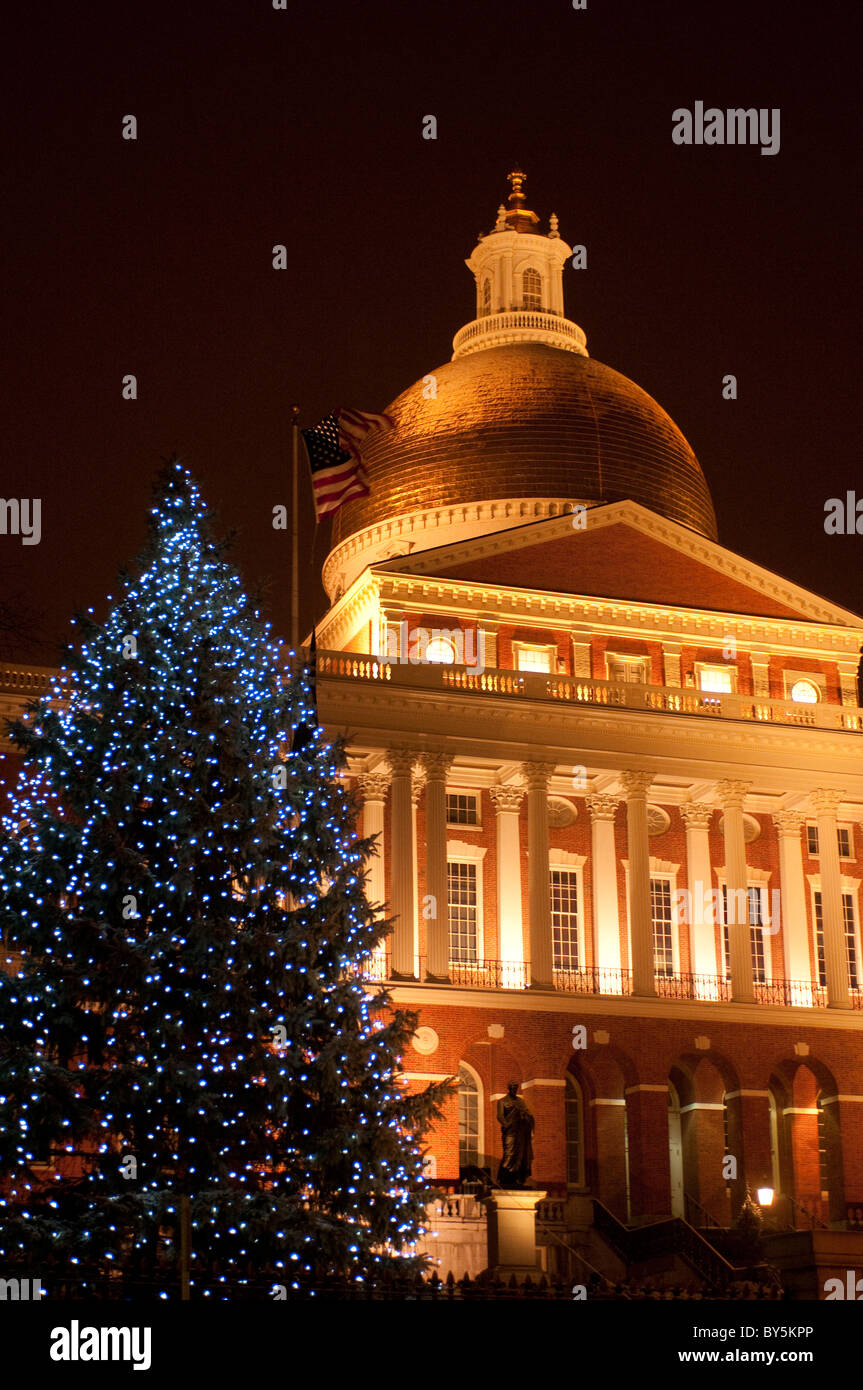 Official Tree High Resolution Stock Photography and Images - Alamy