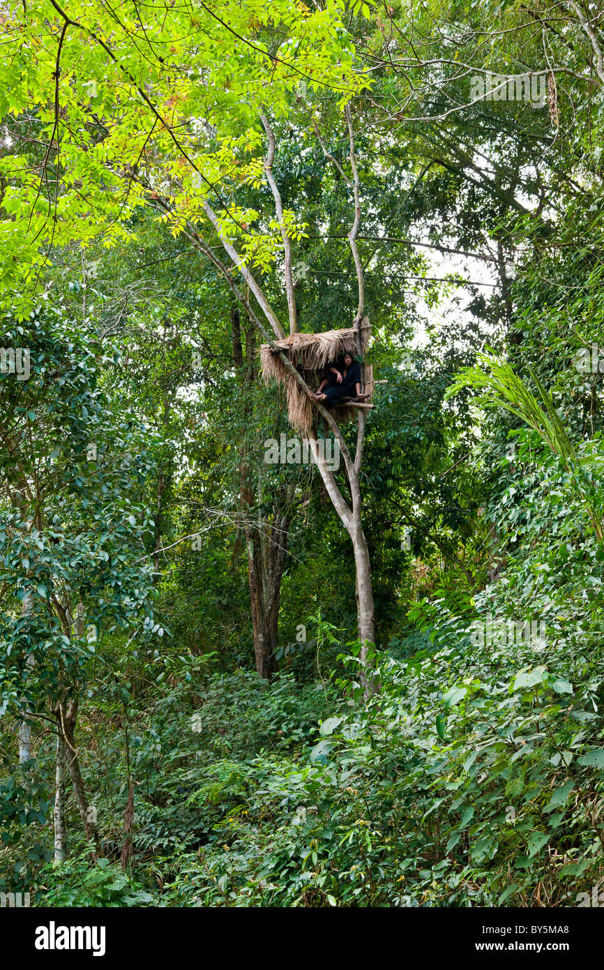 Jinuo man in tree dwelling, Jinuo Luoke (Jinuo Shan), Jinghong ...