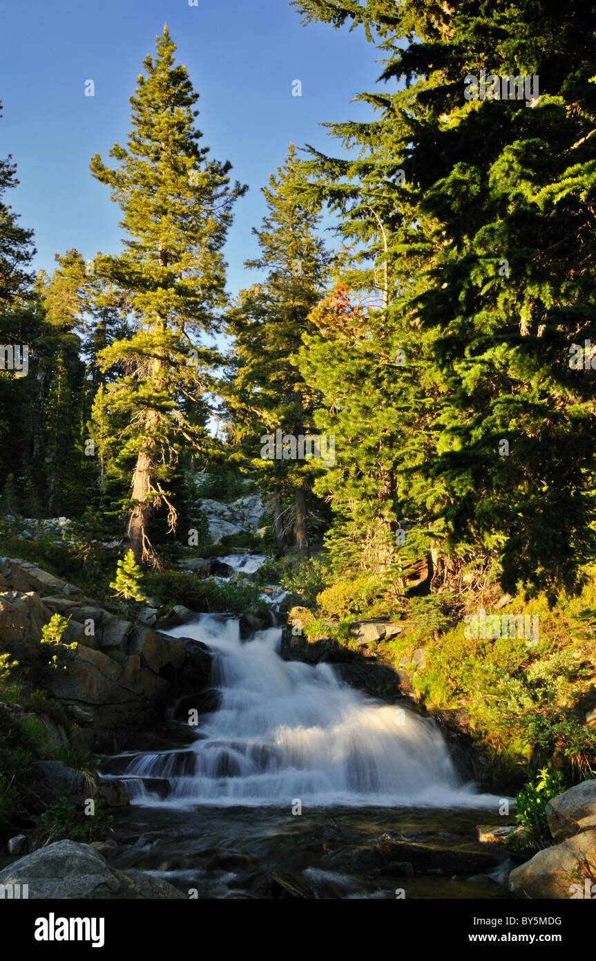 Sierra mountains alpine stream water hi-res stock photography and ...