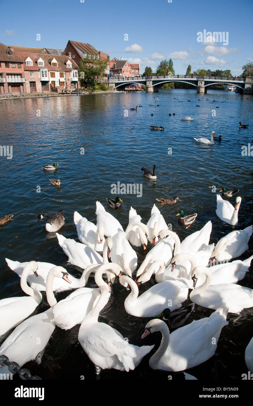 Eton river thames hi-res stock photography and images - Alamy