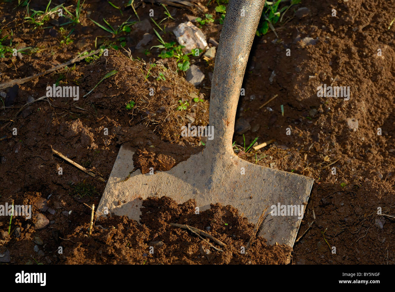 Allotment soil hi-res stock photography and images - Alamy