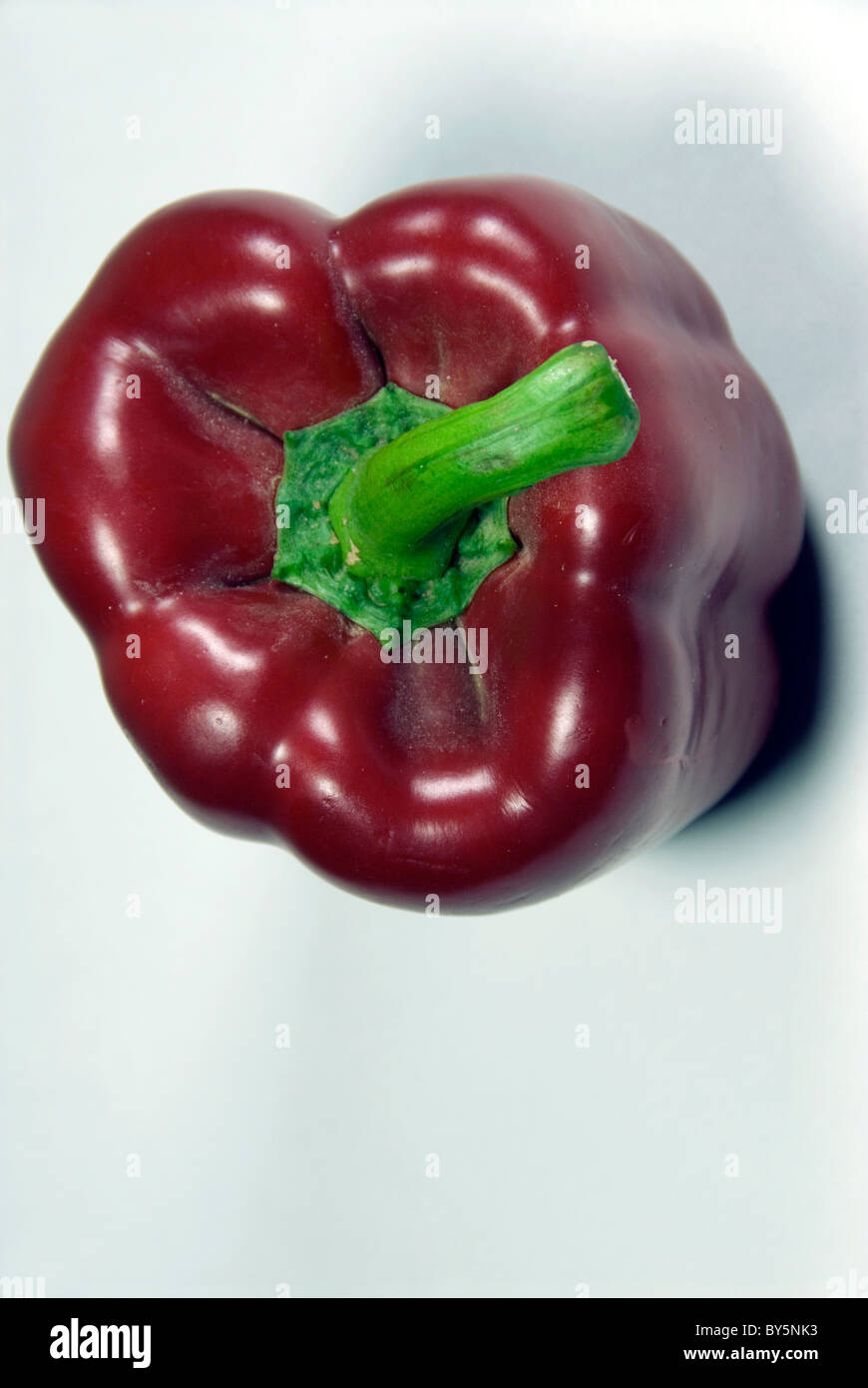 Red bellpepper on white Stock Photo - Alamy