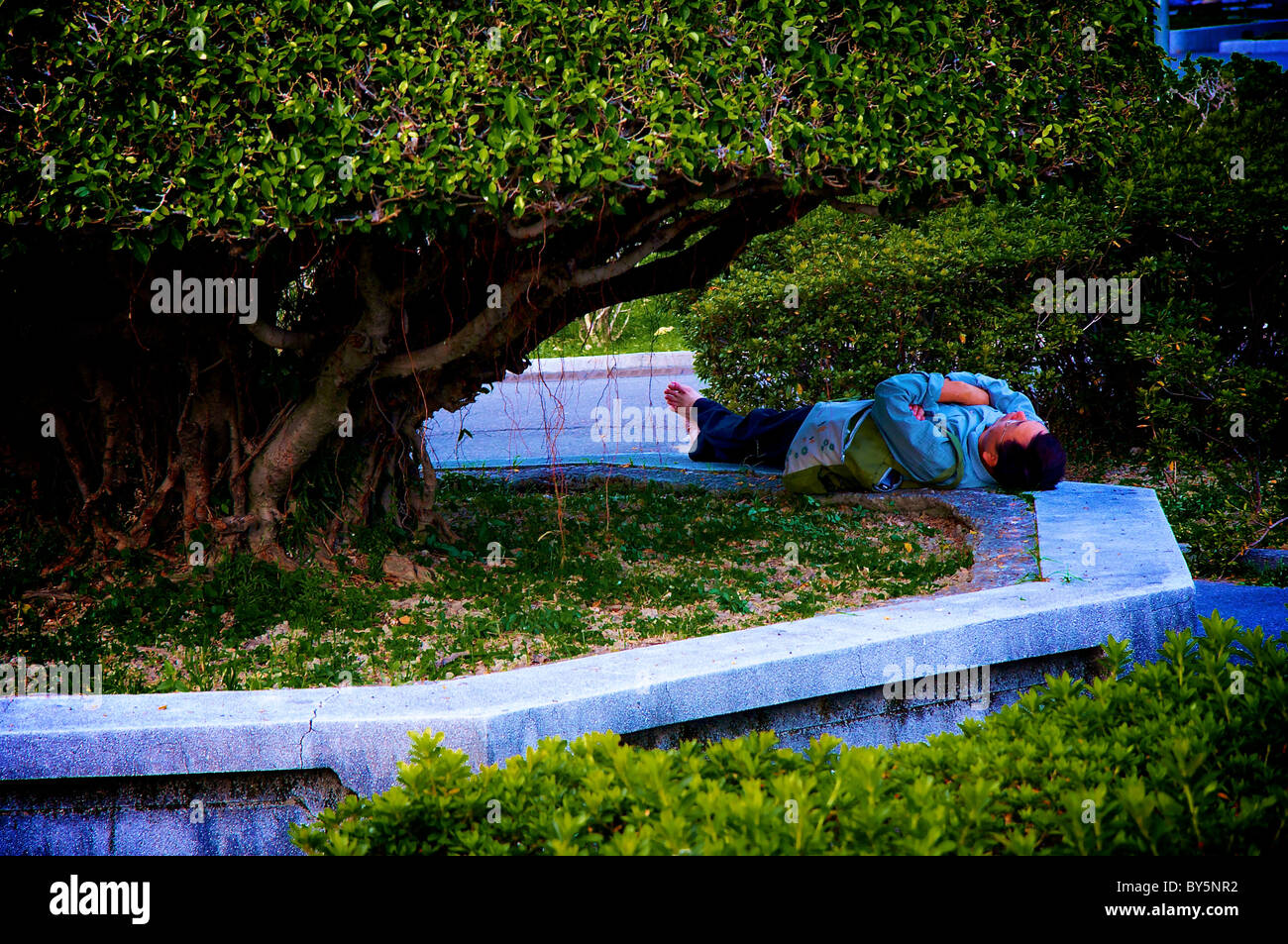 sleeping in the park Stock Photo - Alamy