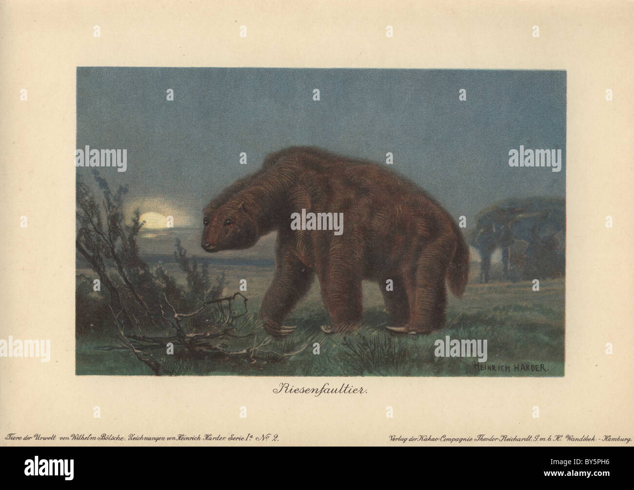 Megatherium hi-res stock photography and images - Alamy