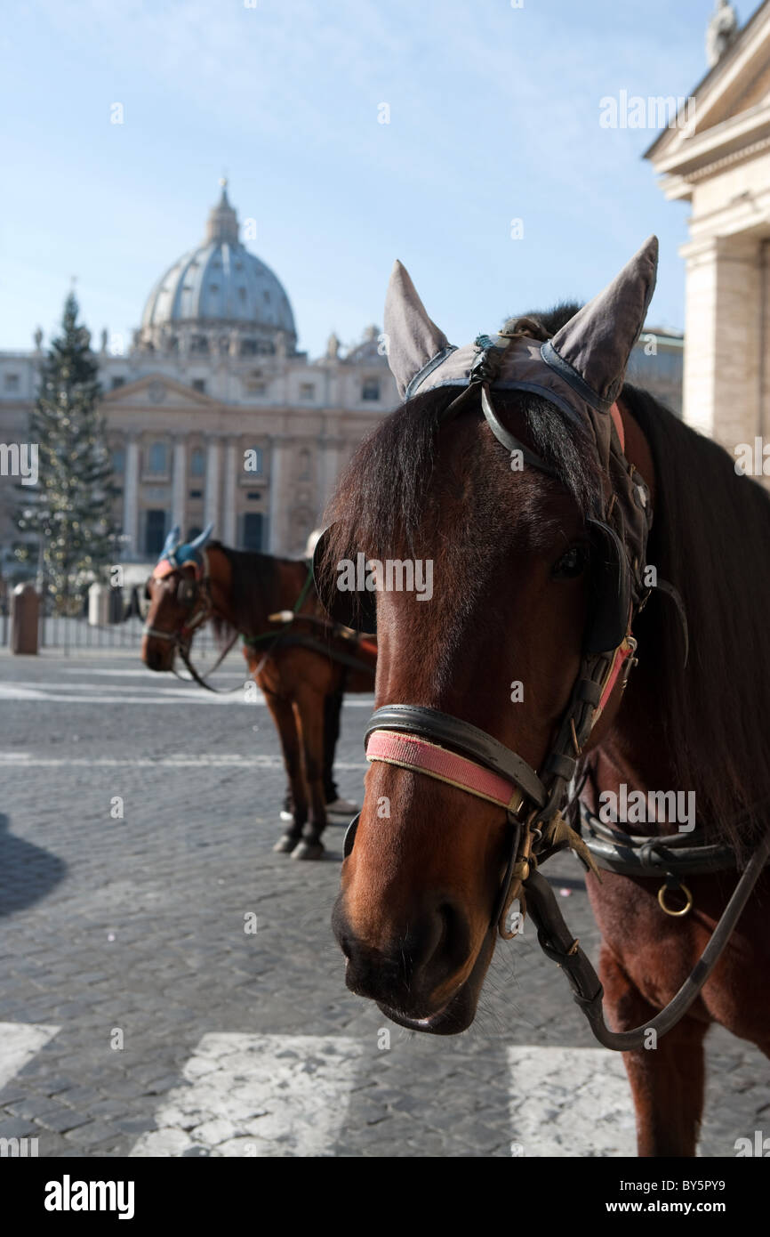 Horses and carriage in front of Saint Peter's square Vatican city Rome ...