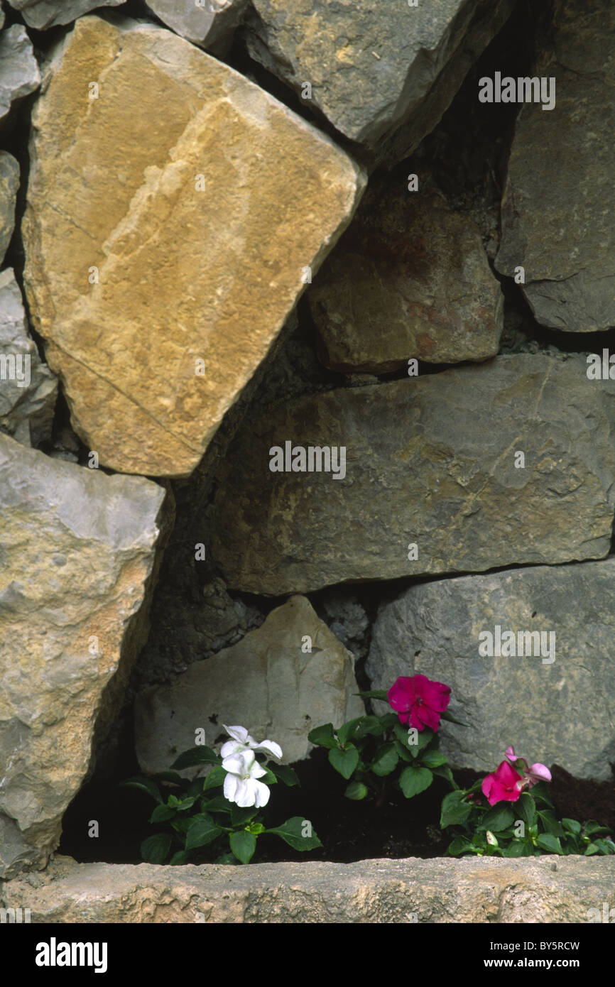 Rock feature garden flowers hi-res stock photography and images - Alamy