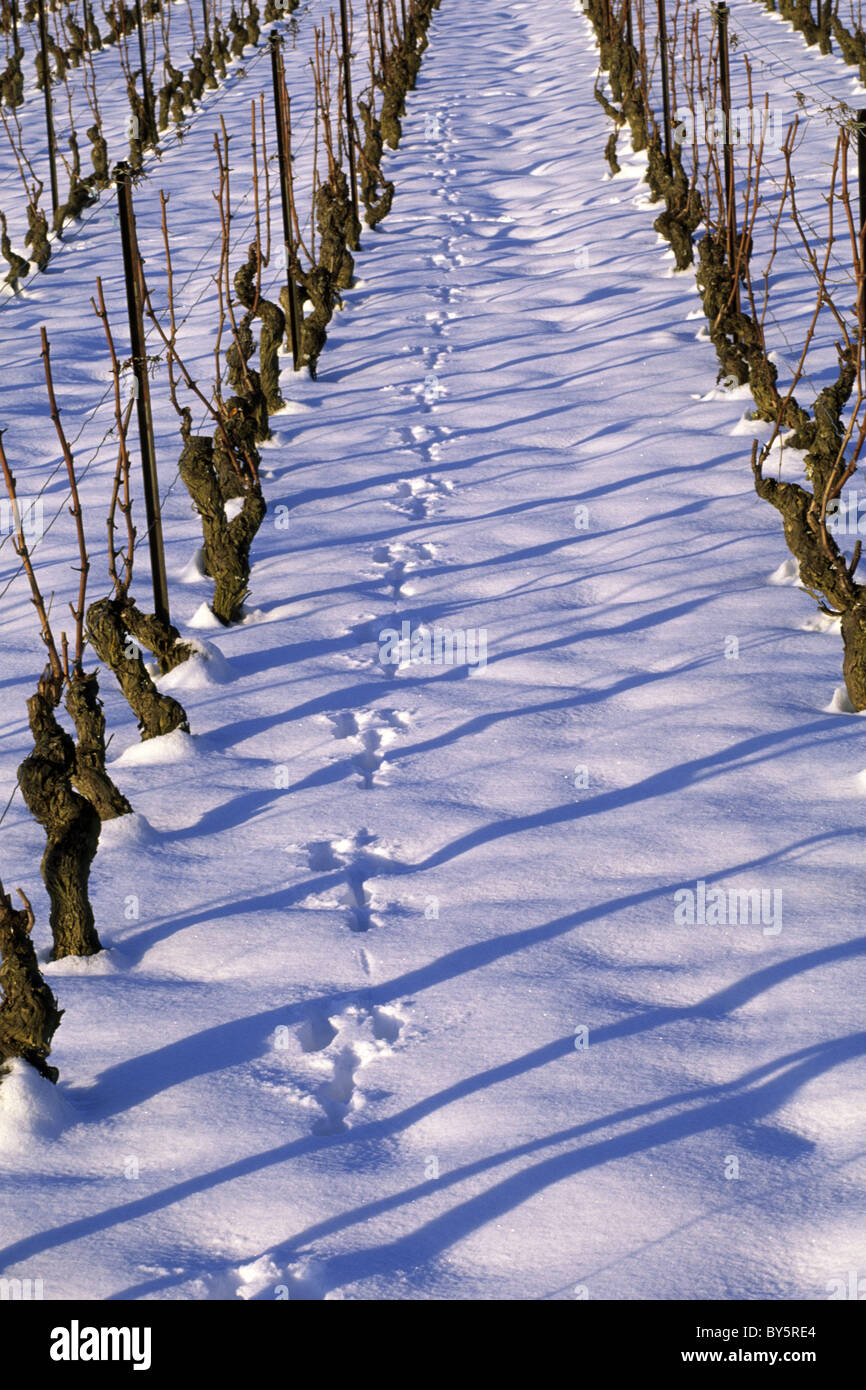 Stub track hi-res stock photography and images - Alamy