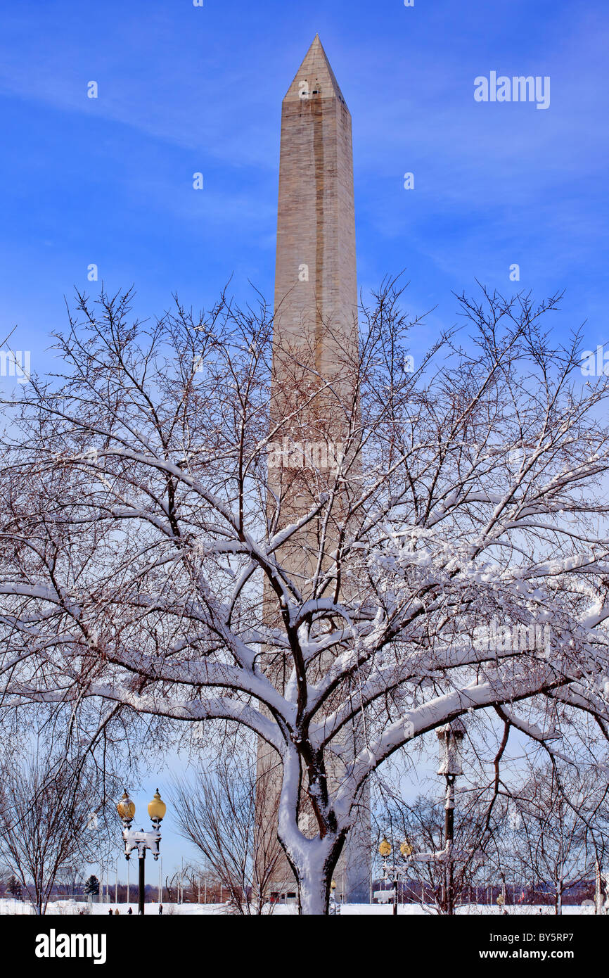 Washington Monument After the Snowstorm Through Snowy Trees Washington ...