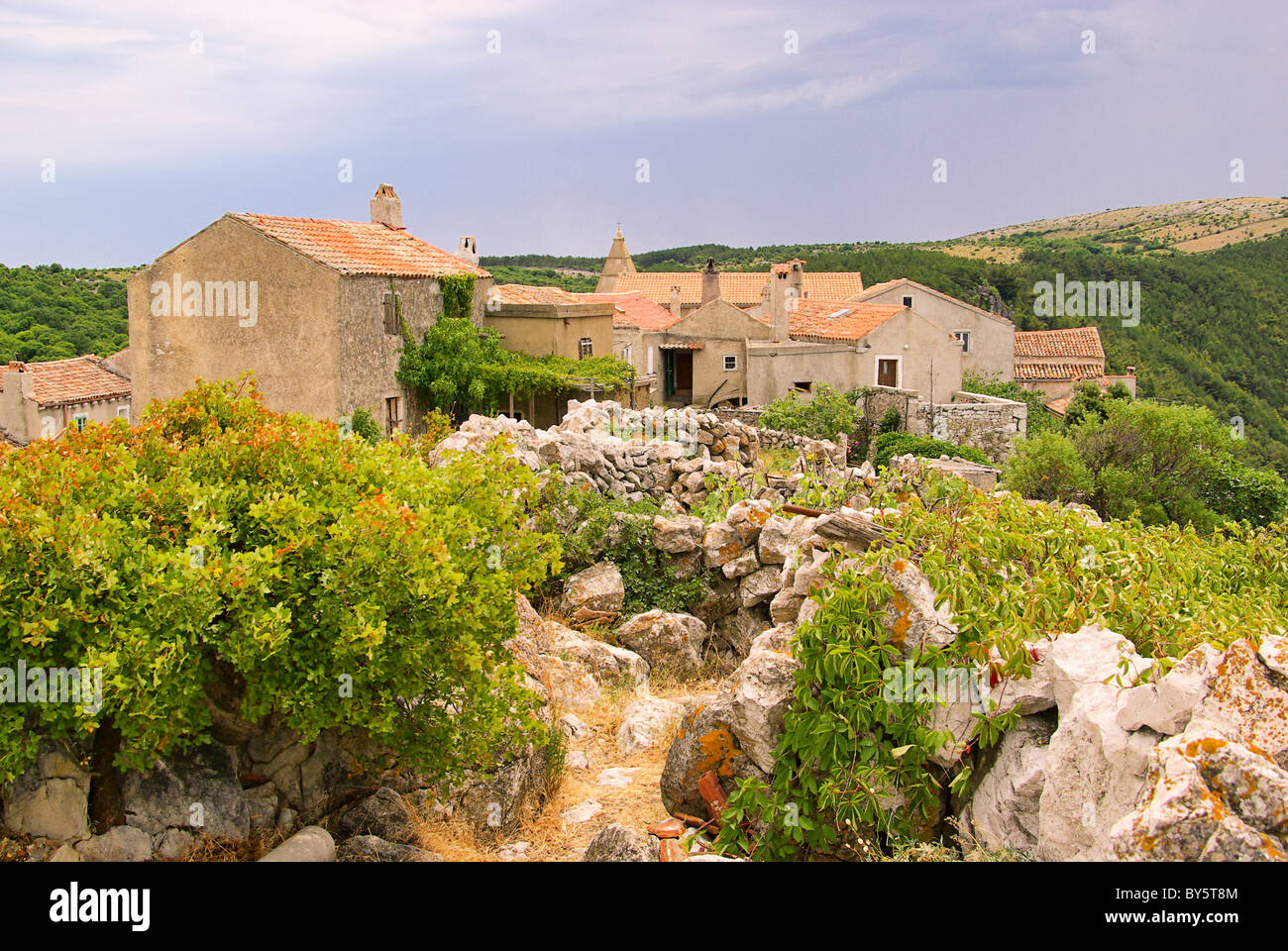 With Lubenice High Resolution Stock Photography and Images - Alamy